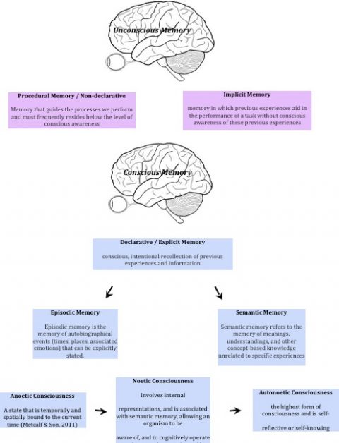 The Absorbent Mind: an essay by Pete Friend - The Montessori Place
