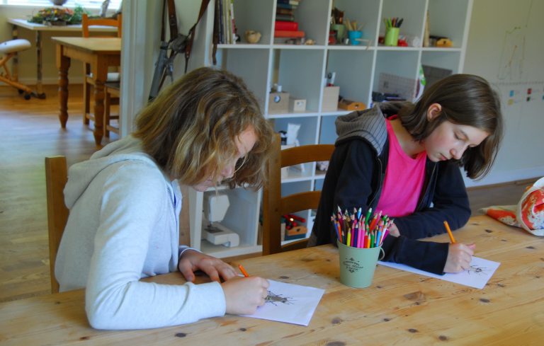 Intellectual development in early adolescence - The Montessori Place